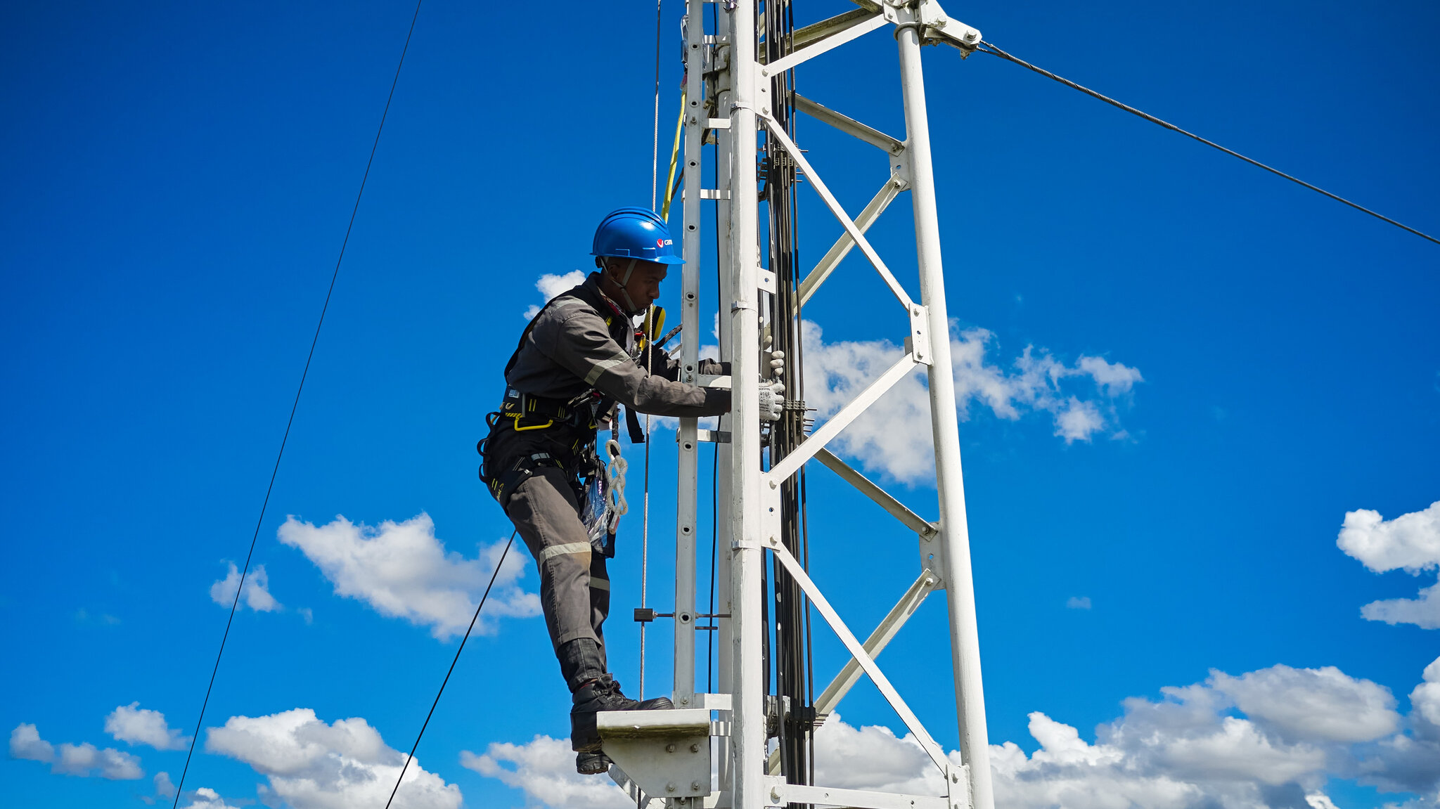 Our business lines – Camusat